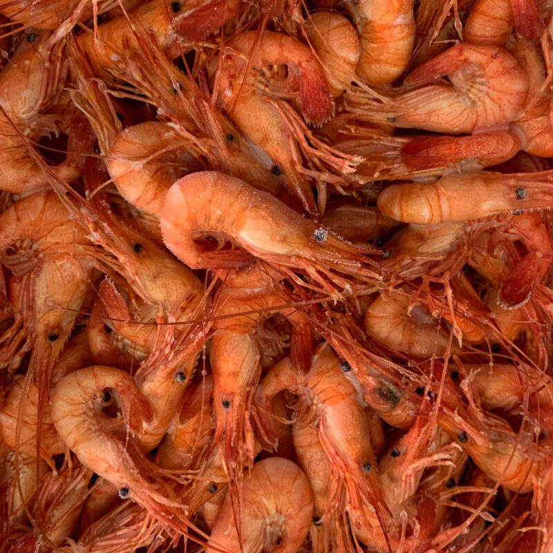 Camarón (Cocido Congelado) - Marisquea