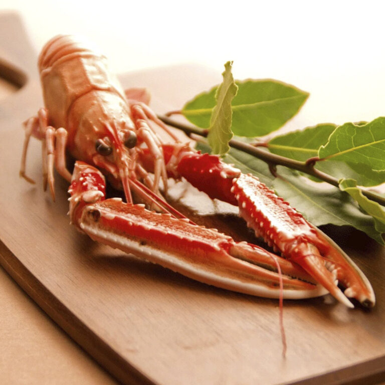 Cigala Viva - Marisquea